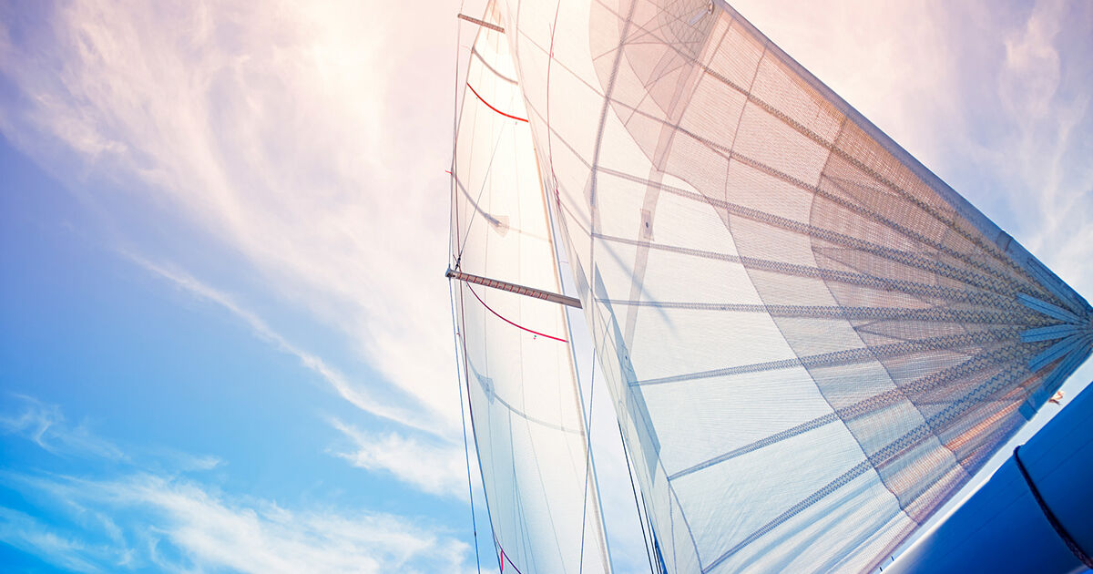 About Us | Warwick Capital Partners